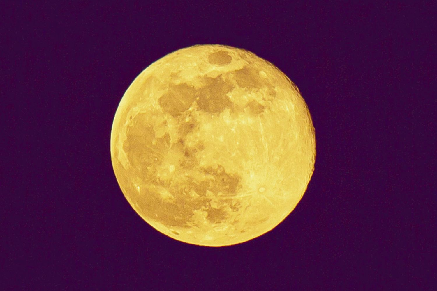 February 2025 Full Moon in Leo | Cosmoplanner – The Creative Planner