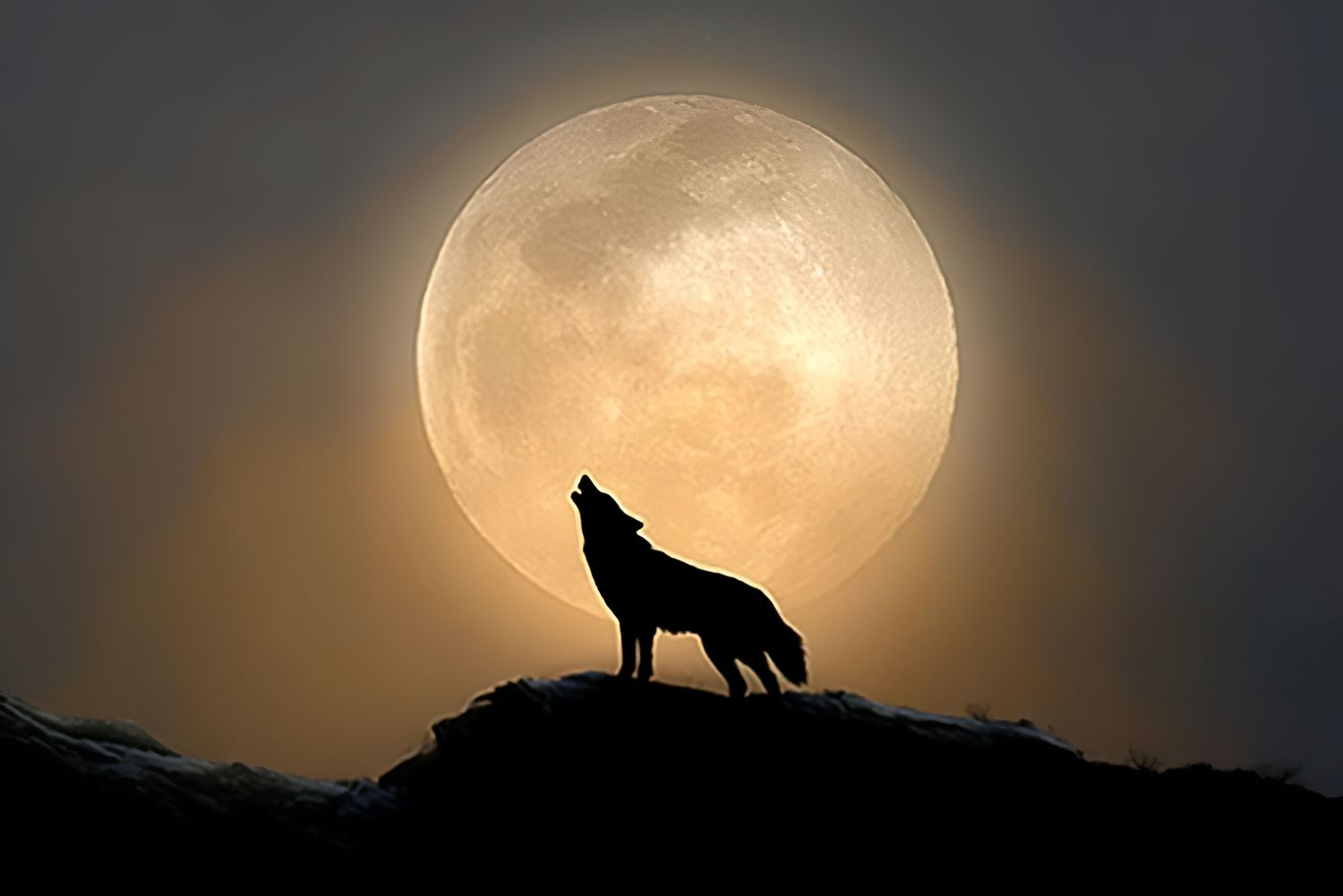 January 2026 Full Moon in Cancer | Cosmoplanner – The Creative Planner