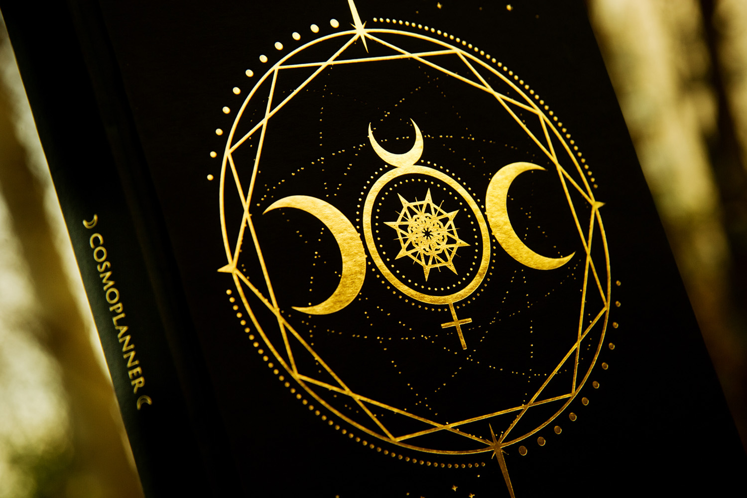 Astrology Insights Archives | Cosmoplanner